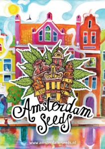 Amsterdam Seeds – Cannabis seeds from Amsterdam